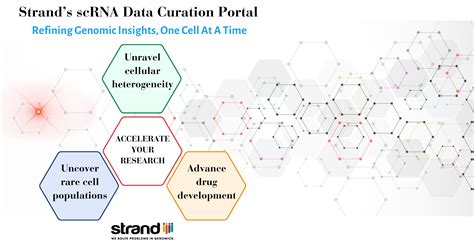 Single Cell Rna Sequencing Data Curation Service And Data Show