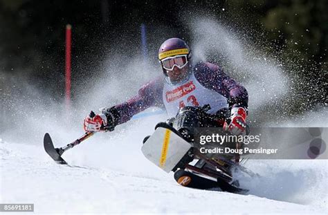 Bambur Photos And Premium High Res Pictures Getty Images