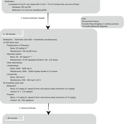 Status Epilepticus Request Pdf