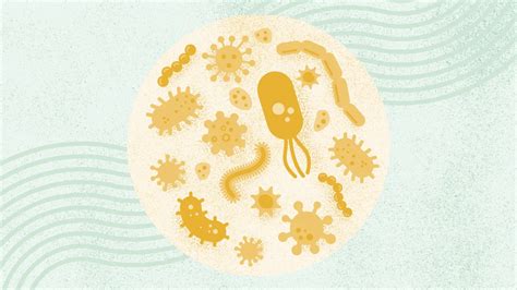 Staphmrsa Resource Center All Articles