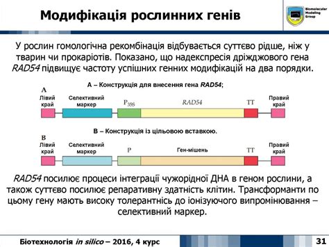 Блок “Молекулярна біотехнологія” Генетична модифікація рослин презентация онлайн