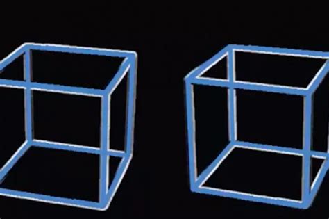 People Are Freaking Out Over This Rotating Cube Illusion That Ll Make You Question Reality