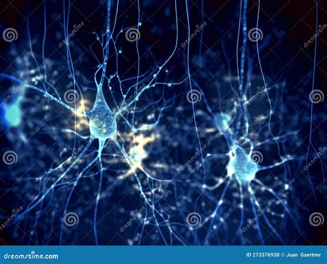 Pyramidal Neurons In The Cerebral Cortex Stock Photo CartoonDealer Com 273376938
