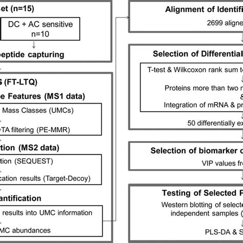 The Overall Scheme Of The Proposed Integrative Approach For Download Scientific Diagram