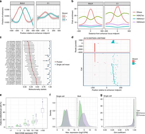 Enhancer Analysis At Single Cell Resolution Comparison Of Enhancers