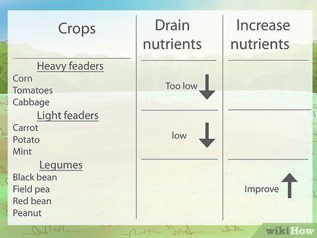 How To Use Crop Rotation In Gardening Steps With Pictures