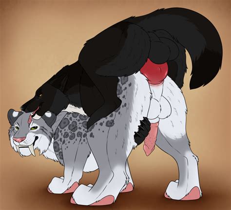 Rule 34 Anal Anal Sex Animal Genitalia Animal Penis Balls Canid