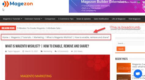 How To Showremove And Add Breadcrumbs To Custom Page In Magento 2