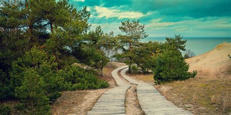 Choosing Your Cobol Migration Path Leading With Version 5 2 Or 6 1 Bmc Software Blogs