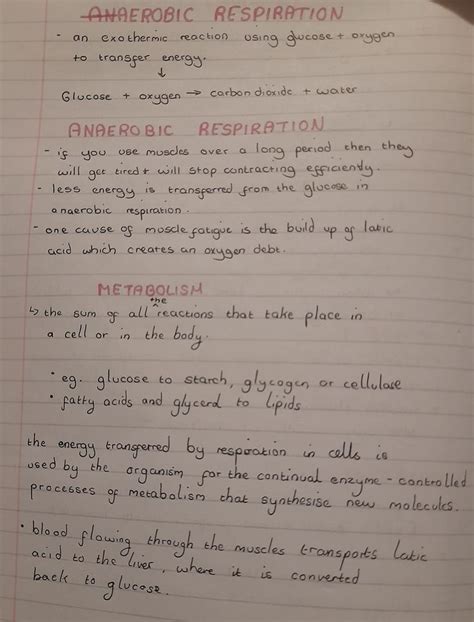 Gcse Revision Biology Respiration In 2024 Study Flashcards Gcse