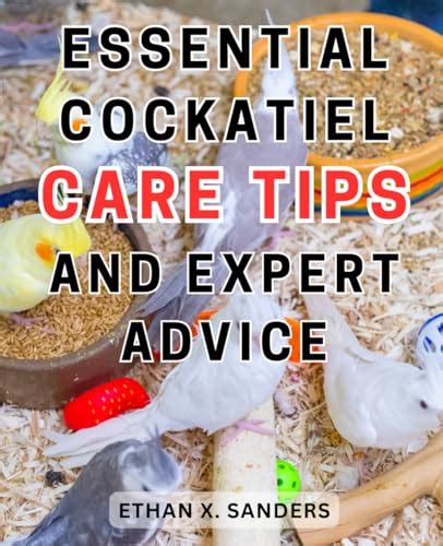 Essential Cockatiel Care Tips And Expert Advice The Comprehensive