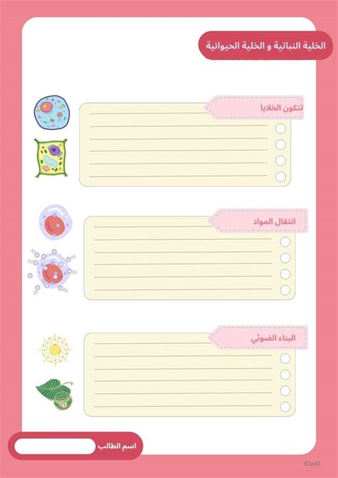 مطوية علوم حمل المطوية Sallasa6aydesigns