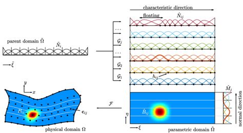 Schematic Overview Of Bivariate B Spline Basis Construction In FLIGA Download Scientific Diagram