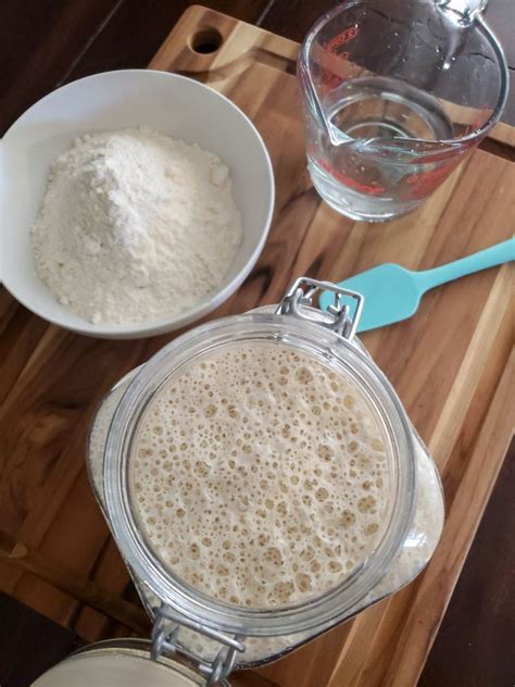 How To Make Sourdough Starter From Scratch Artofit