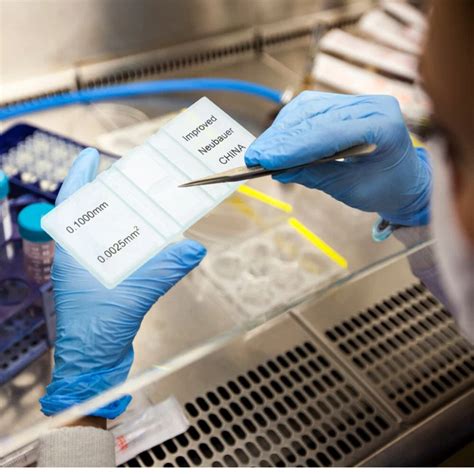 Glass Hemocytometer Haemocytometer Slide Microscope Counting Chamber £10 54 Picclick Uk