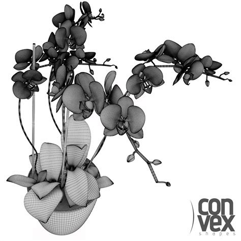 화분 Fbx Obj 3d 모델 59 Fbx Obj Unknown Free3d