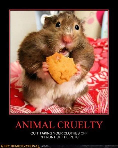 Funny Demotivational Posters Part 65 Fun