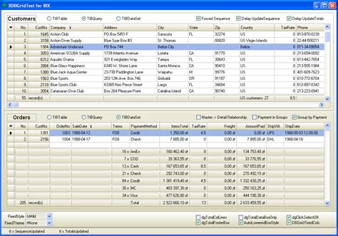 X Files Components X Dbgrid And X Dbnavigator Components For