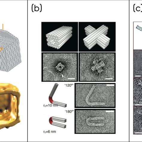 Examples Of 3d Dna Nanostructures Formed Using The Dna Origami