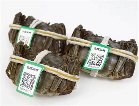 Custom Qr Code Labelstagsstickers Traceability Qr Code Sticker Maker Twist Hd