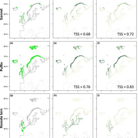 Marine Occurrence Datasets For Each Species And Output Of Single‐ And