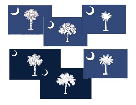 South Carolina Flag Meaning How Other Southern States Flags Also