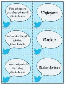 Hash Tag Cell Parts Matching Game Review Sheet Cell Parts Matching Games Teaching Cells