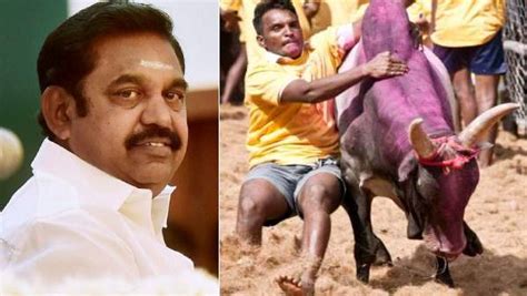 எள்முனையளவும் தவறவிடக்கூடாது எடப்பாடி வழிநின்று ஜல்லிக்கட்டு உரிமையை காப்பாற்றுங்க மாஜி