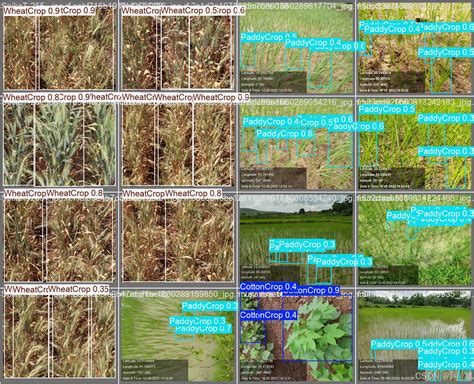 基于yolo11v10v8v5深度学习的农作物类别检测与识别系统设计与实现【python源码pyqt5界面数据集训练代码】基于yolov11 识别分捡茶鲜叶并定级 源码 Csdn博客
