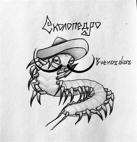 Сколопендра рисунок карандашом - 75 фото