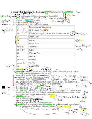 Modules 10 12 Summary Biochem Lab Modules 10 12 Summary Biochem Lab Module 10 1 Nucleic Acids