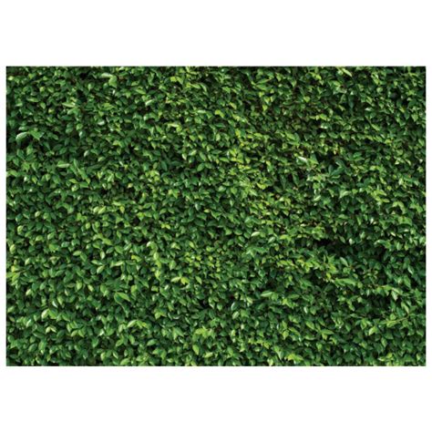 Wolada 7x5ft Green Backdrop Greenery Wall Backdrop Green Leaves Backdrop Green Grass Backdrop
