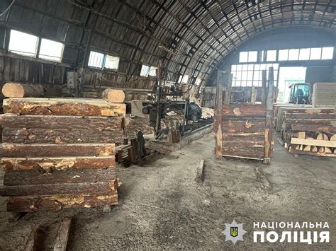 Босс вчинив самогубство на Волині викрито масштабну схему розкрадання лісу фото Останні та