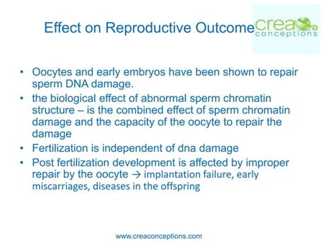 Sperm Dna Fragmentation Pptx Infertility Reproductive Health Sperm Dna Fragmentation Pptx Infertility Reproductive Health