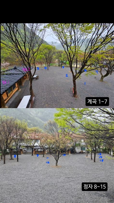 비밀의정원🌹 Secretgarden3056 • Instagram Photos And Videos