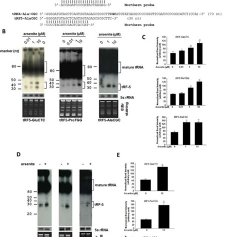 Pipeline Of Analyses Of Illumina High Throughput Sequencing Data