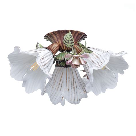 Екзотичні кімнатні рослини грунти та добрива Balemala Листья лантаны шиповатой имеют