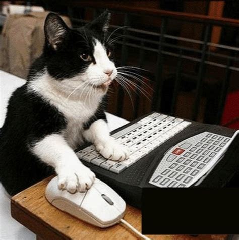 кот геймер Создать мем Meme