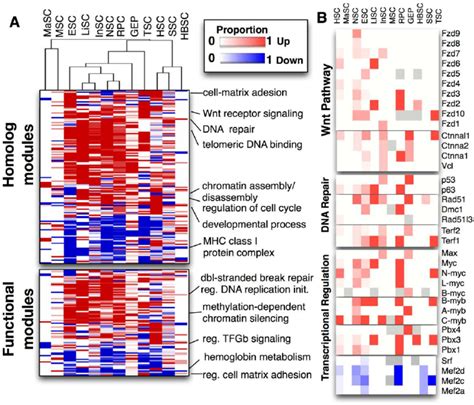 Stemness On And Stemness Off Modules Identified By S Map A Heatmap Download Scientific