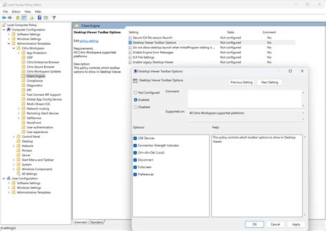 Session Experience Citrix Workspace App For Windows