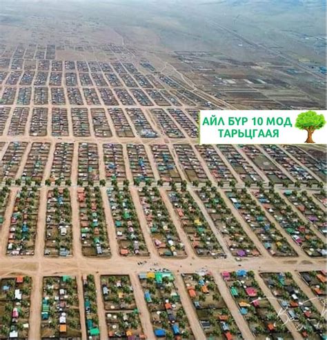 Гэрэлээ On Twitter Өглөөний мэнд🌳🌲🌳