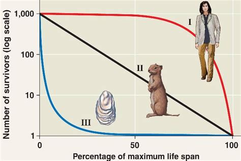 Survivorship Types Html 53 06survivorshipcurves L 