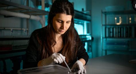 Fearless Science Magazine 2024 Morgridge Institute For Research