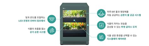 Lg 틔운 오브제컬렉션 Lg 틔운 미니 L123g1pm 식물생활가전 생활가전 제품소모품 Lg전자