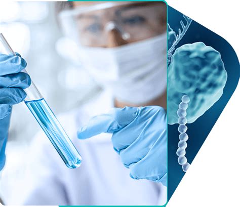 Custom Protein Arrays Creative Diagnostics