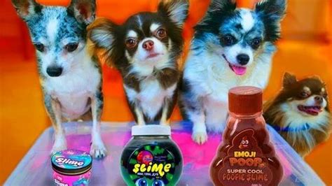 Большой средний или маленький слаи м челлендж питомцы против лизунов распаковка слаи мов день