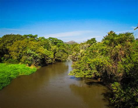 Image Of Riparian Buffer The Land Development Site