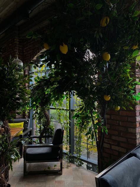 Декоративные решения для заднего двора