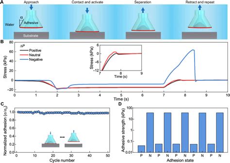 Characterization Of Switchable Underwater Adhesive A Schematic