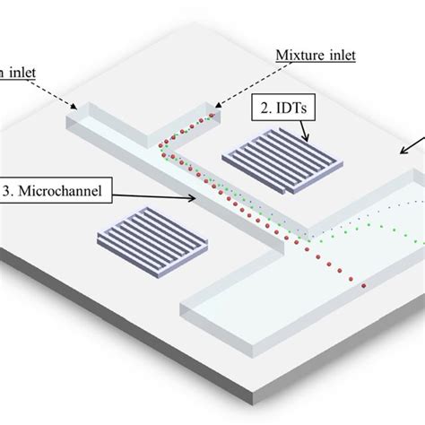 Schematic Illustration Of The Proposed Hybrid Microfluidic Device For Download Scientific